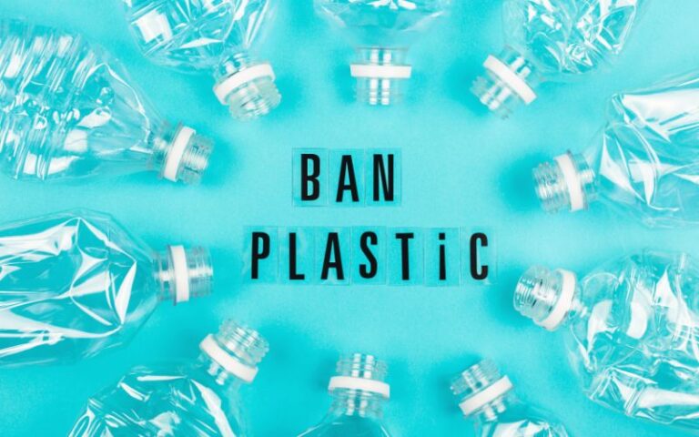 Plastic Bans and Policies: A Global Effort Towards Sustainability ...